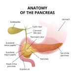 Pancreatic Cancer: Symptoms, Causes & Treatment | SPARSH Hospital
